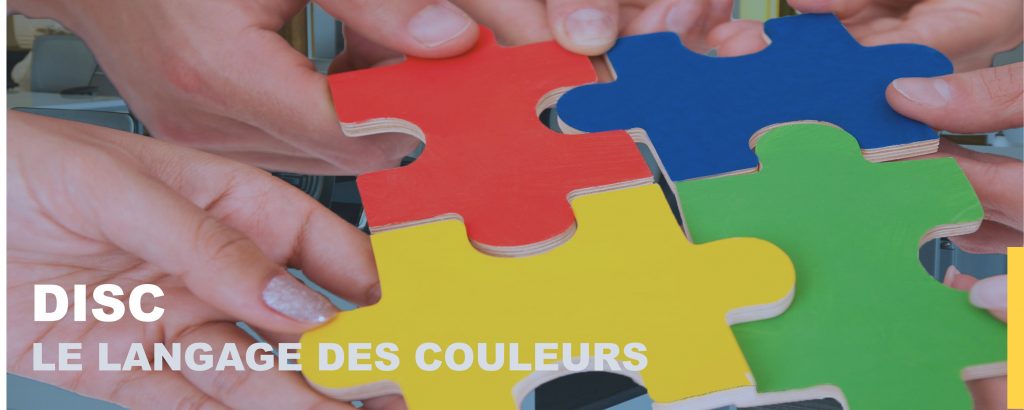 Programme Formation DISC